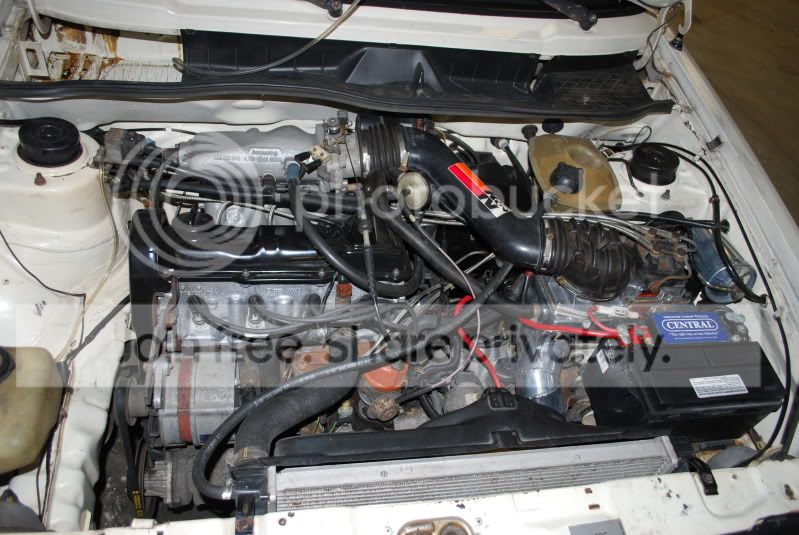 Want to make your engine bay beautiful?
