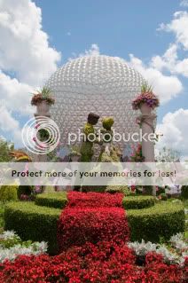 Epcot and Animals | Spectro's Walt Disney World Blog