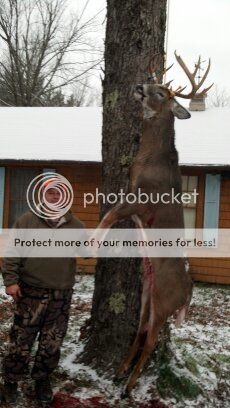 165" buck down!.....shotgun | Archery Talk Forum