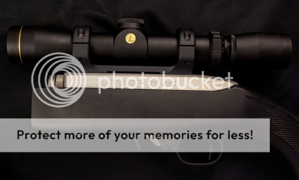 DNZ Game Reaper 10/22 Base - Any Good? > 10/22 & 22 Caliber Rifles ...