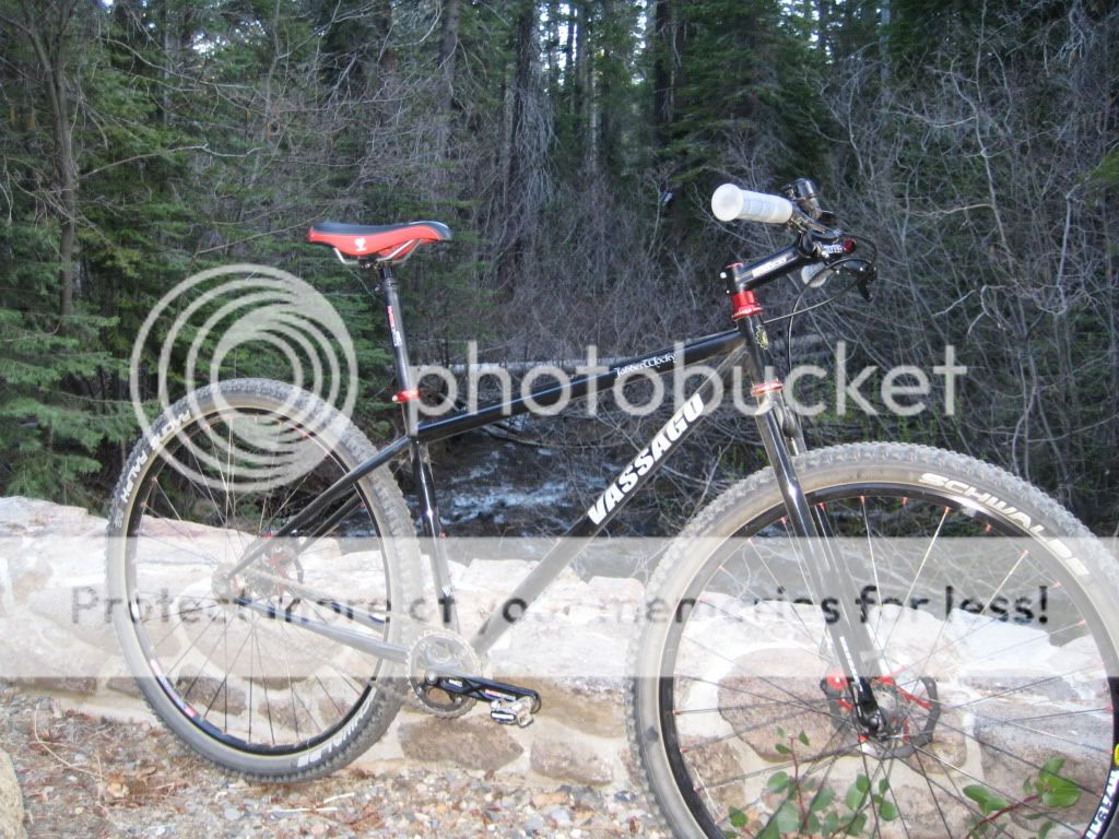 Post pics of your FULLY RIGID SS 29er | Mountain Bike Reviews Forum
