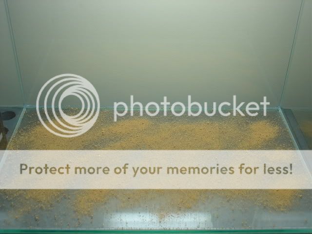 ADA Mini-M Journal | The Planted Tank Forum