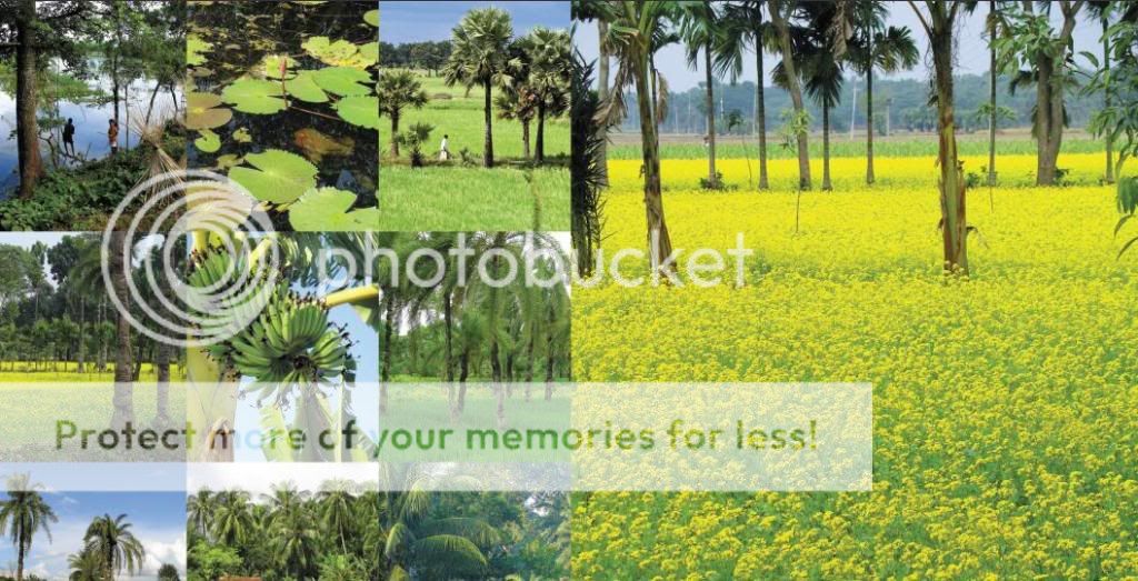 Bangladesh - Hotels & Resorts | Page 13 | SkyscraperCity Forum